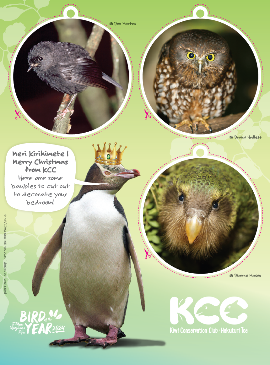 Christmas Baubles – Kiwi Conservation Club