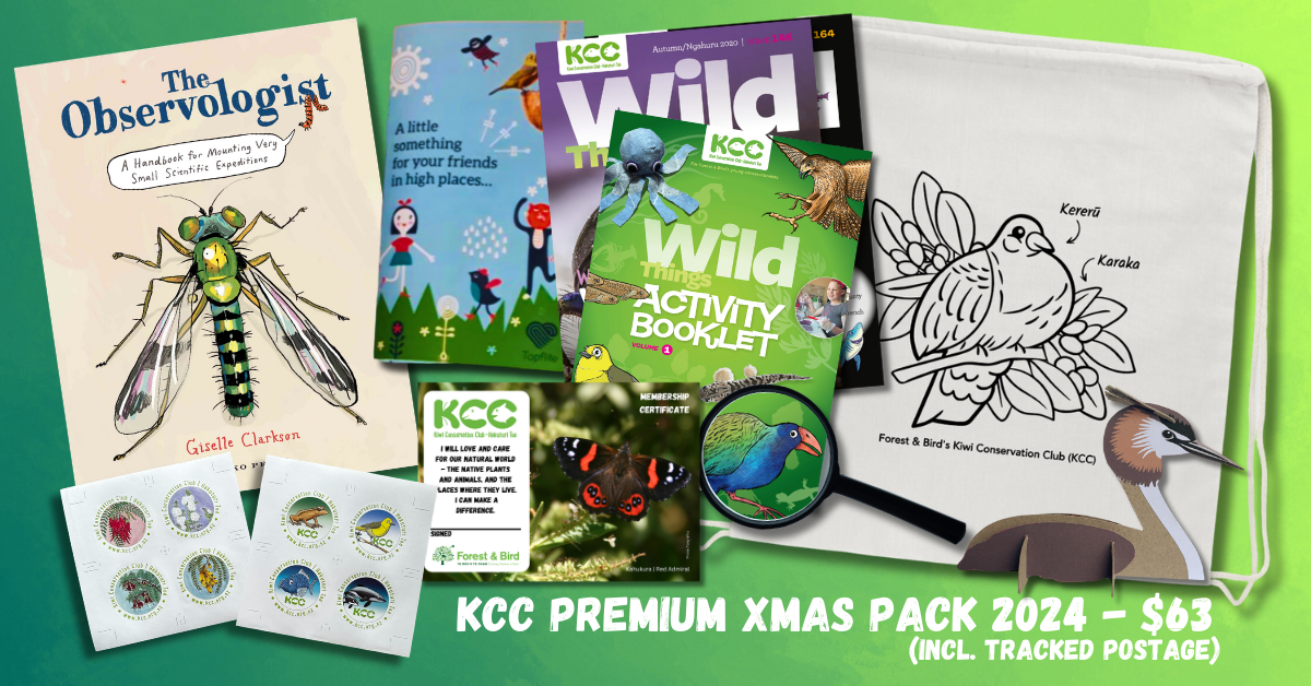 Xmas Packs – Kiwi Conservation Club