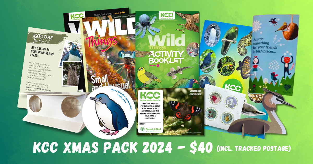 Xmas Packs – Kiwi Conservation Club