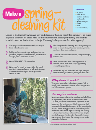 Make a Spring Cleaning Kit – Kiwi Conservation Club