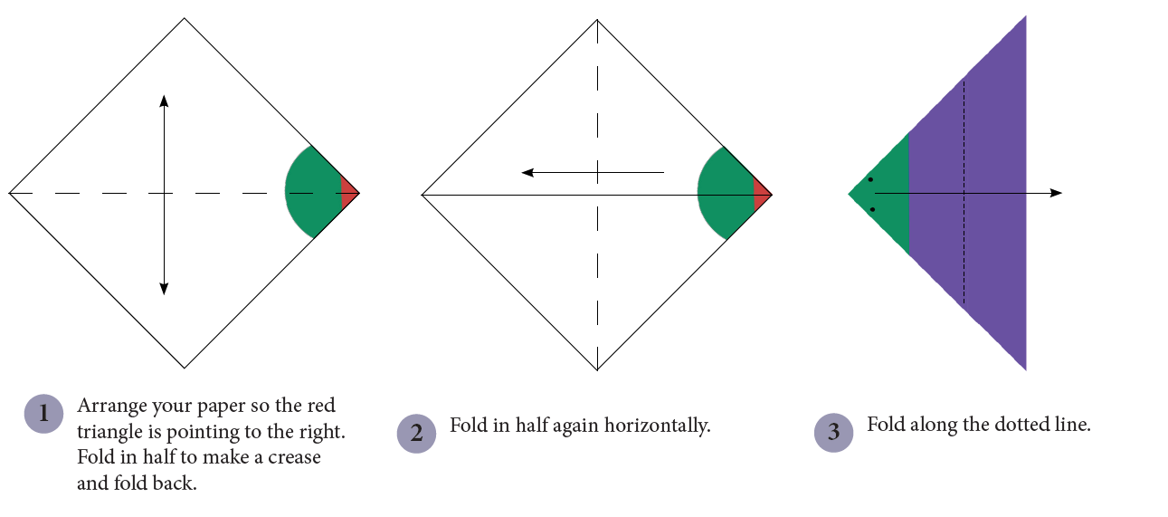 Origami Kererū – Kiwi Conservation Club