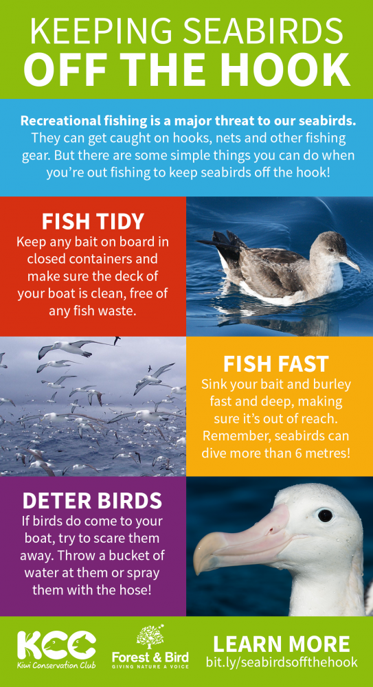 Singing for seabirds – Kiwi Conservation Club