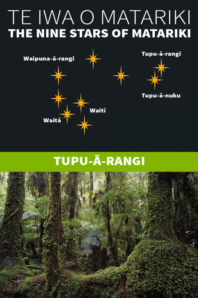 Te Iwa o Matariki | The Nine Stars of Matariki – Kiwi Conservation Club