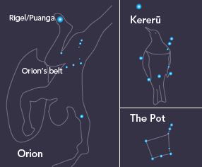 Finding Matariki – Kiwi Conservation Club