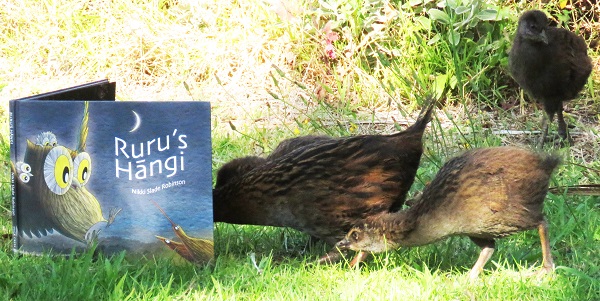 Te Iwa o Matariki | The Nine Stars of Matariki – Kiwi Conservation Club