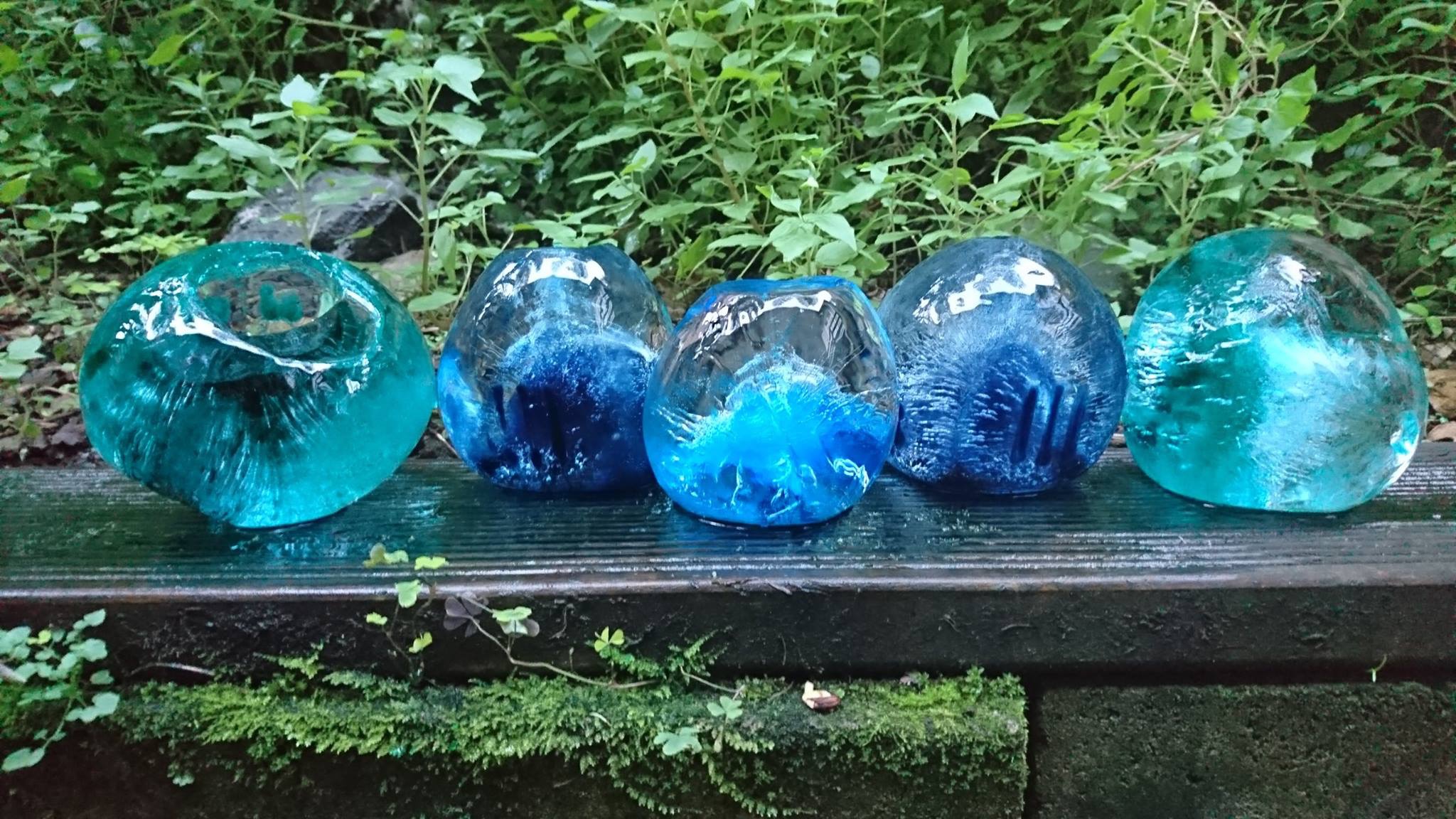 Make Ice Art – Kiwi Conservation Club