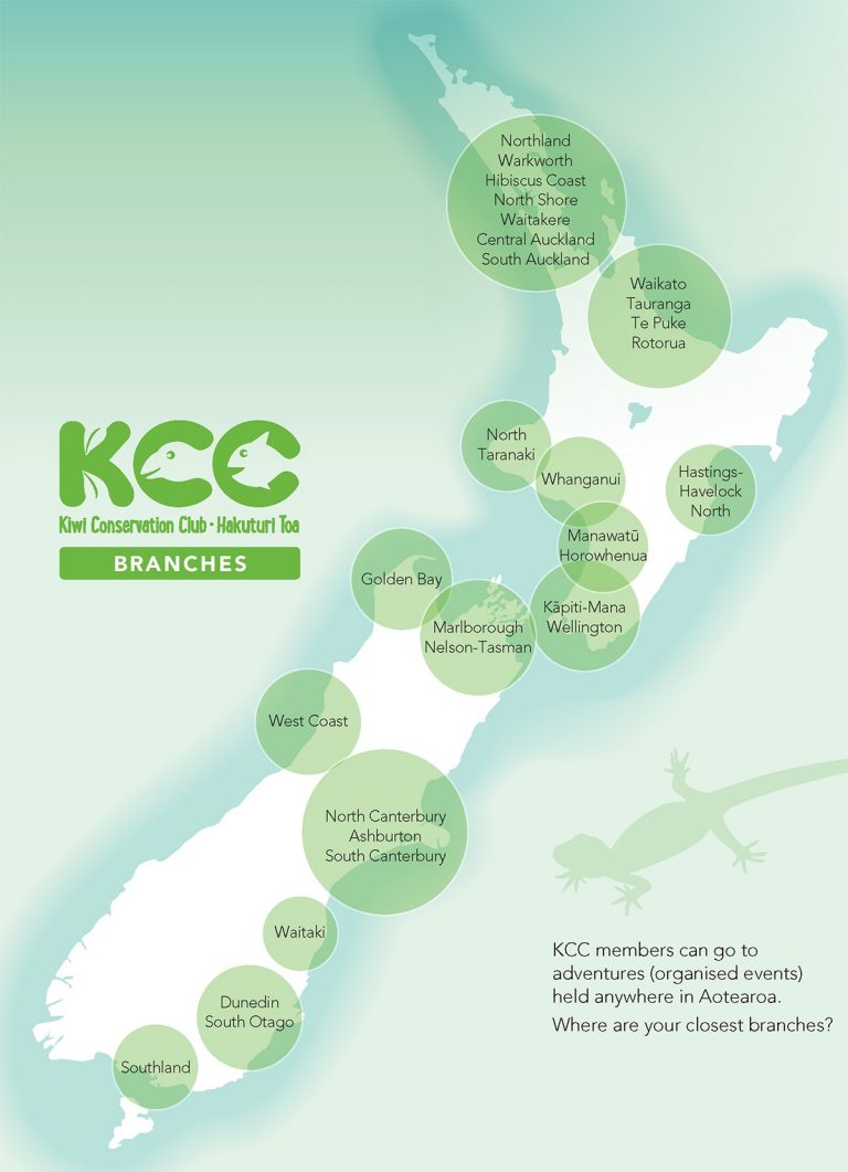 Finding out about KCC Adventures – Kiwi Conservation Club