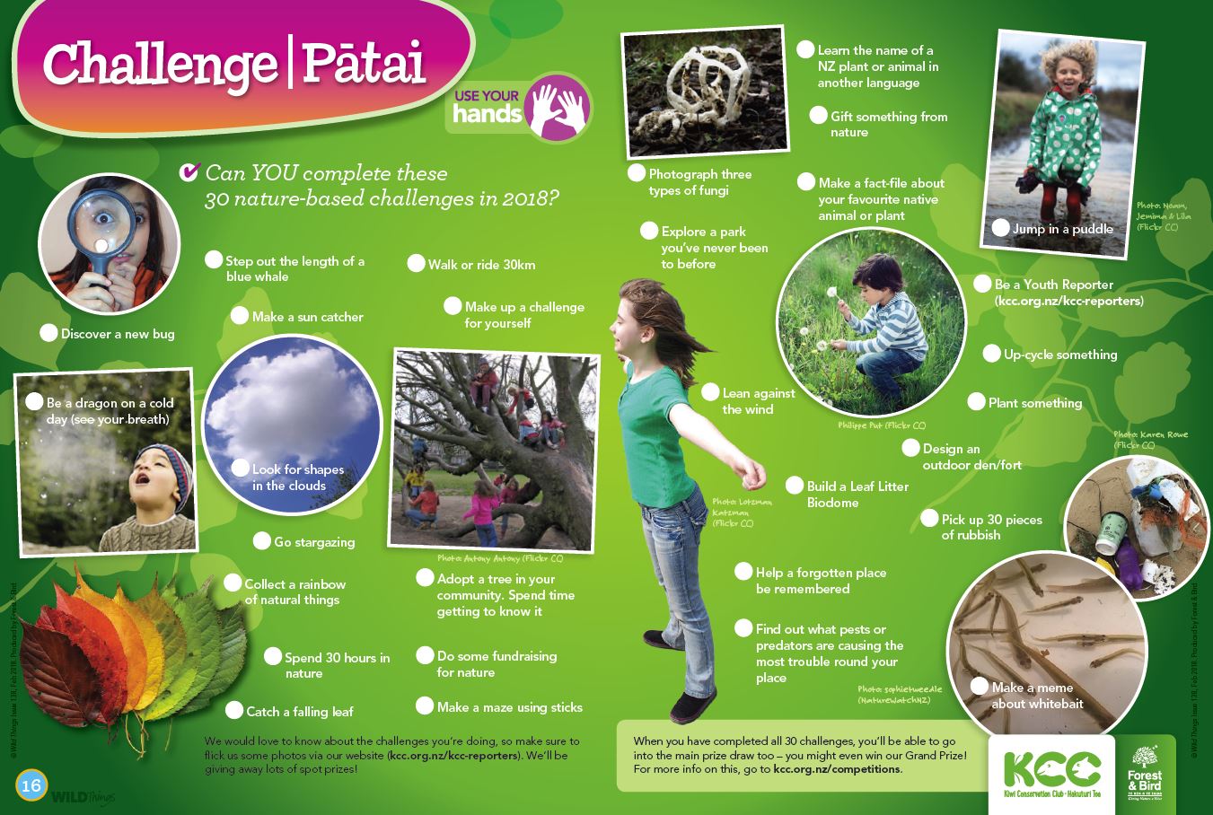 30 nature-based challenges – Kiwi Conservation Club