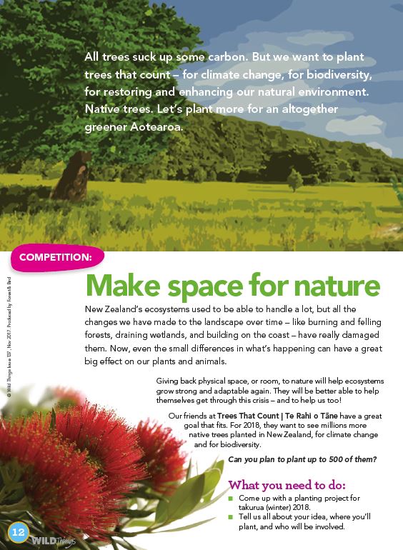 Make Space for Nature – Kiwi Conservation Club