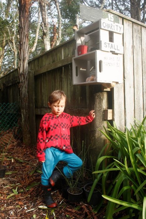 Kāhu cares for Tangaroa – Kiwi Conservation Club