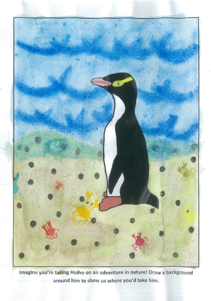 Take Hoiho on an adventure! – Kiwi Conservation Club