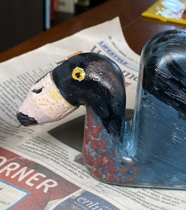 Make a whio – Kiwi Conservation Club