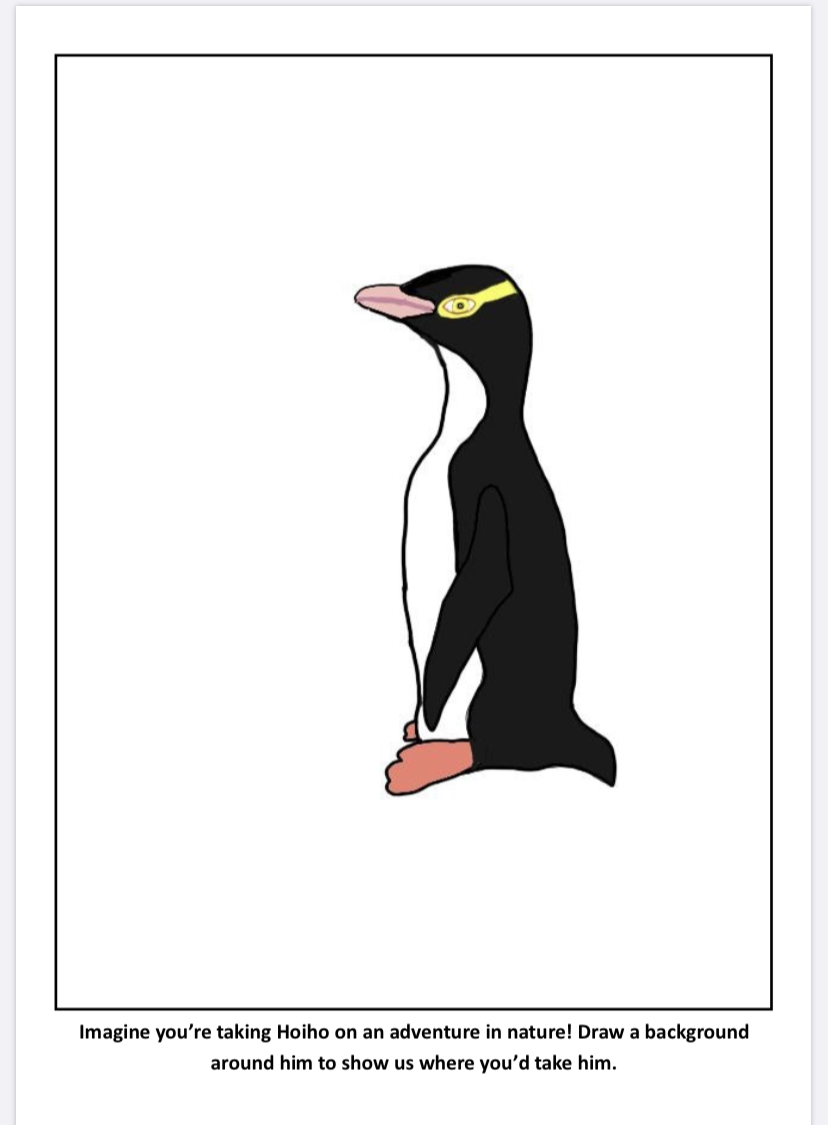 Adventures and Activities with Hoiho! – Kiwi Conservation Club