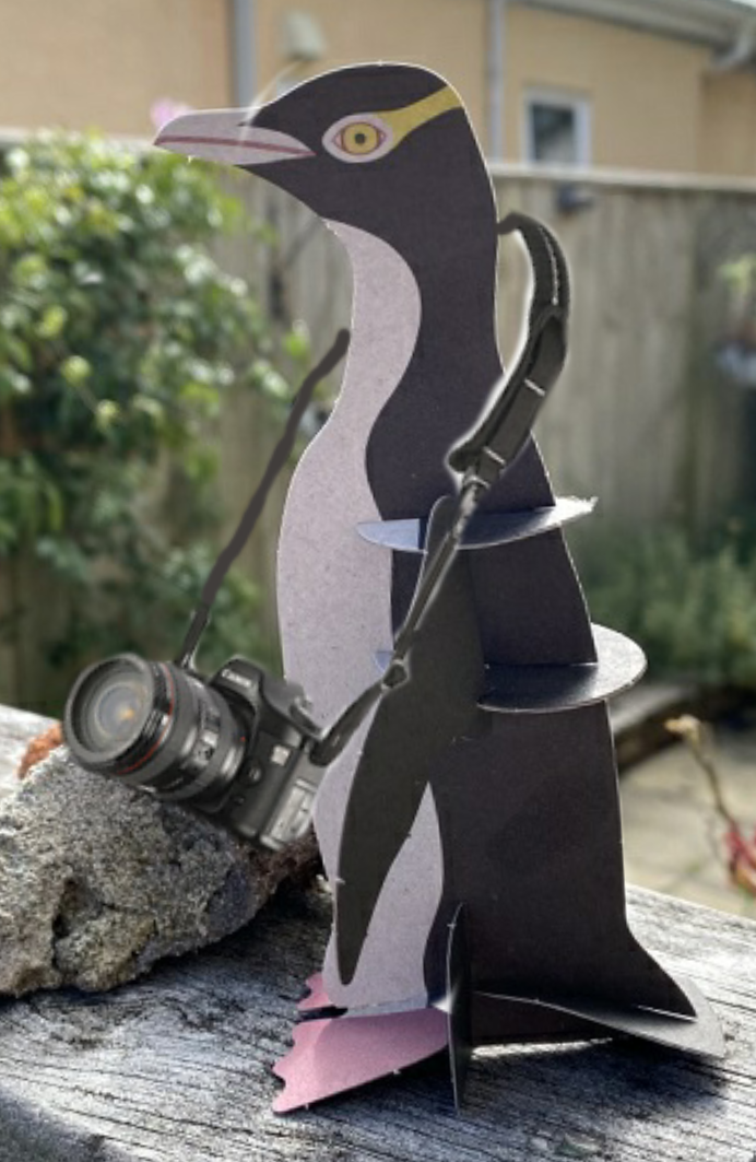 Adventures and Activities with Hoiho! – Kiwi Conservation Club