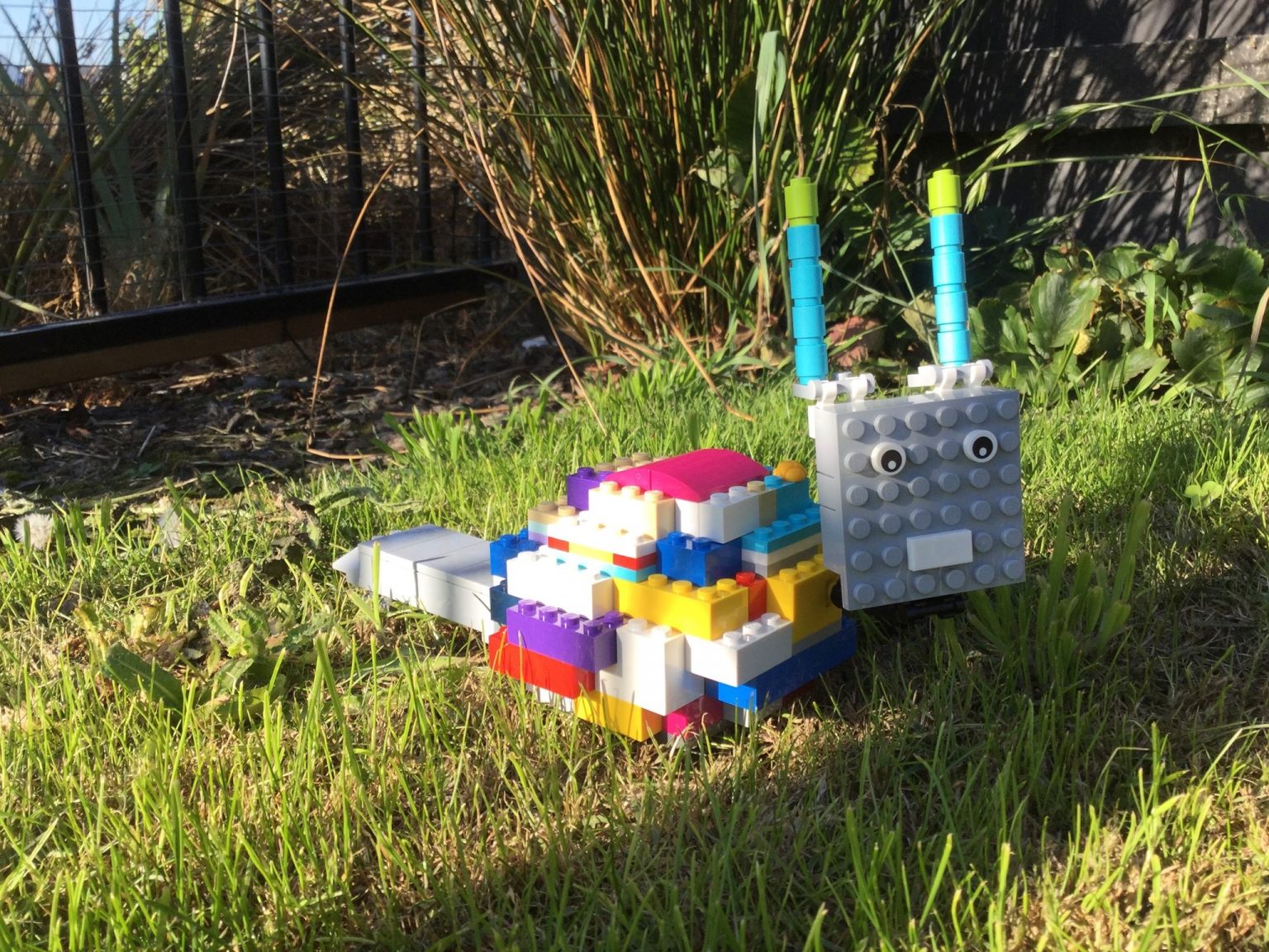 LEGO Critters by KCCers – Kiwi Conservation Club