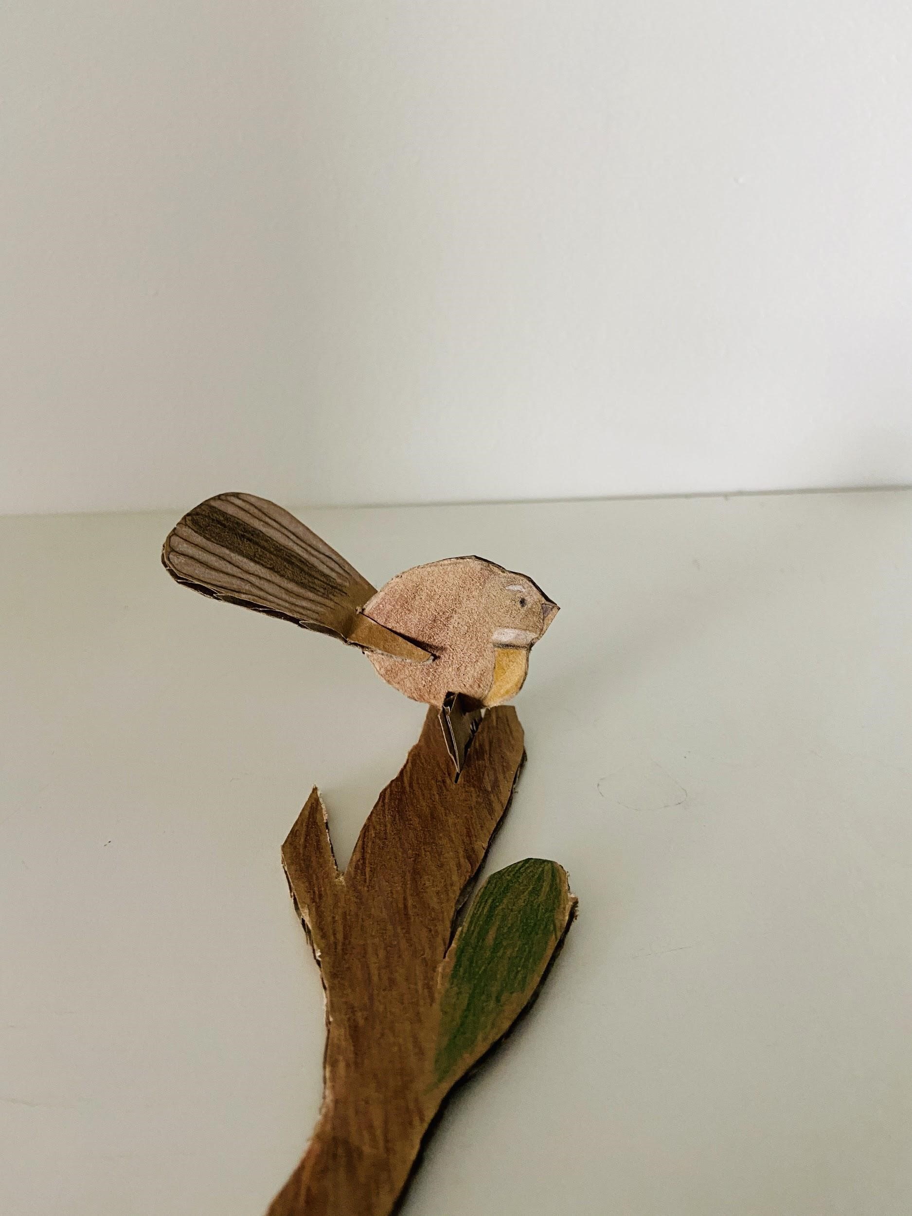 Cardboard Native Animals! – Kiwi Conservation Club