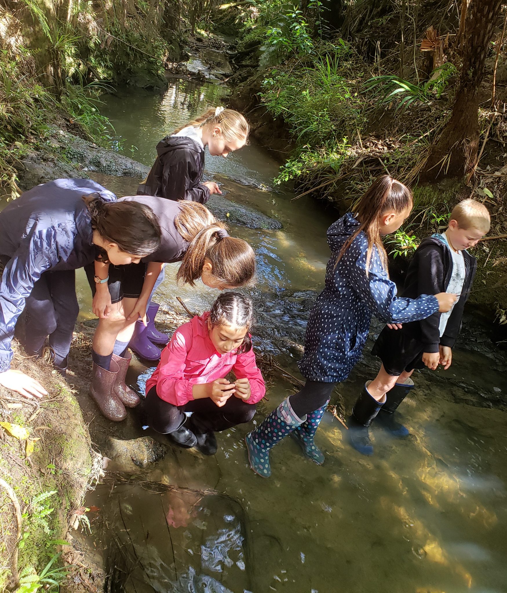 Bayview Primary School at Glendhu Reserve – From Wild Things issue 152 ...