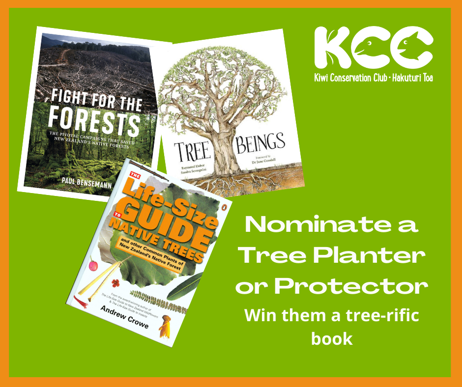 Be With a Tree – Kiwi Conservation Club