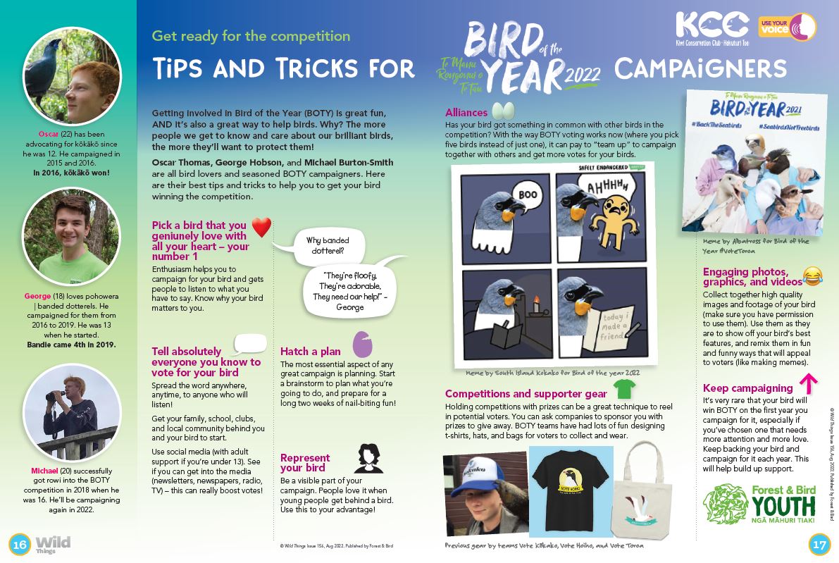 Tips and Tricks for Bird of the Year Campaigning – Kiwi Conservation Club