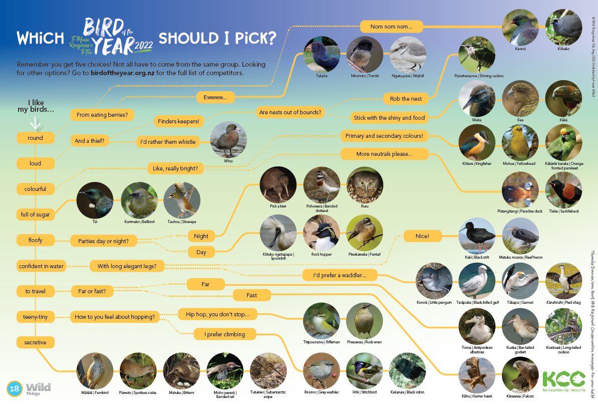 QUIZ: Which Bird of the Year should I pick? – Kiwi Conservation Club
