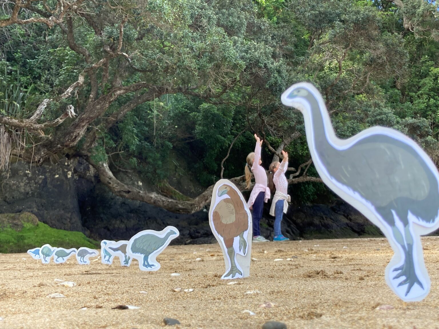 Arrange-a-moa – Kiwi Conservation Club