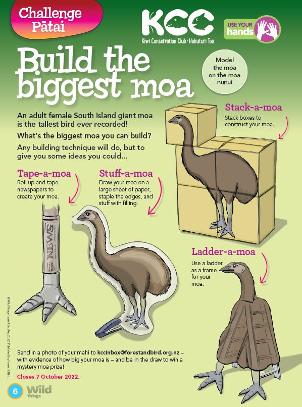 Build the biggest moa – Kiwi Conservation Club