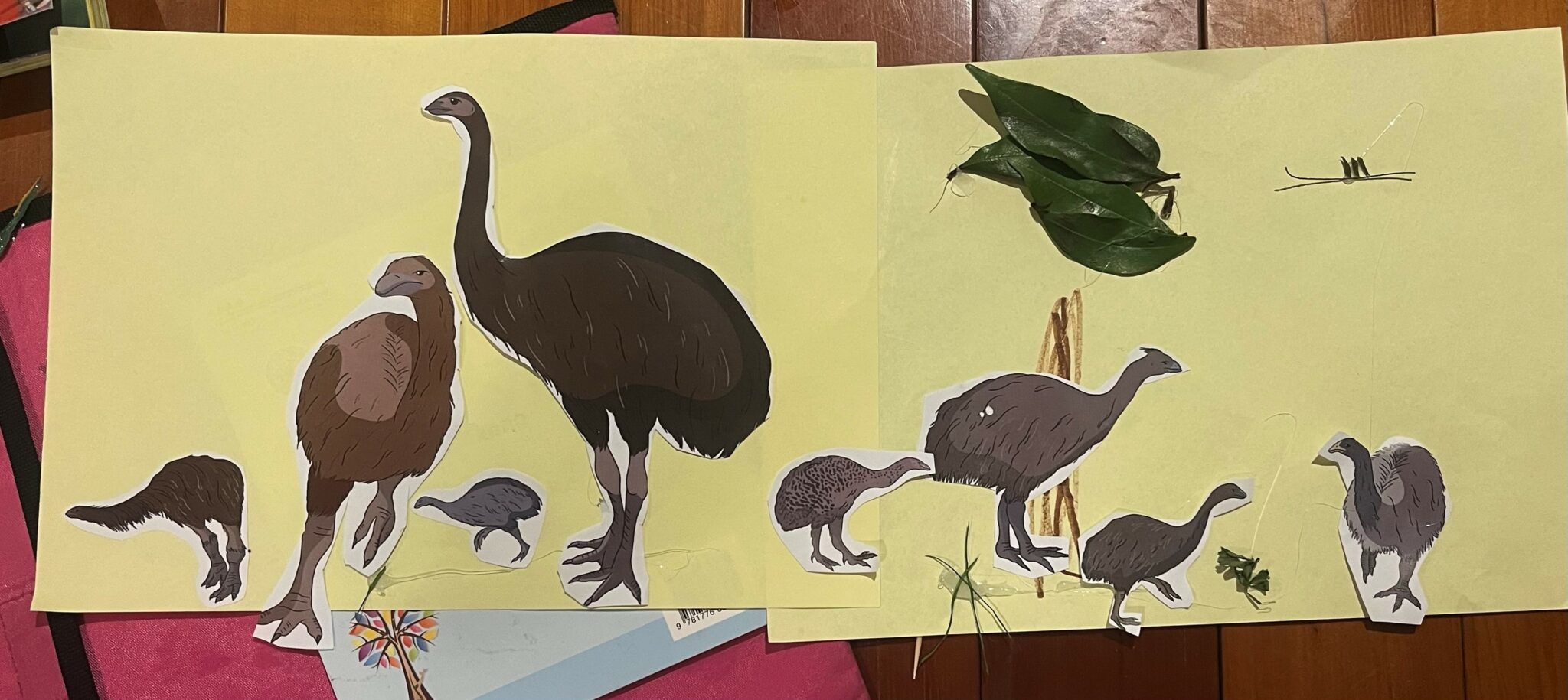 Arrange-a-moa – Kiwi Conservation Club