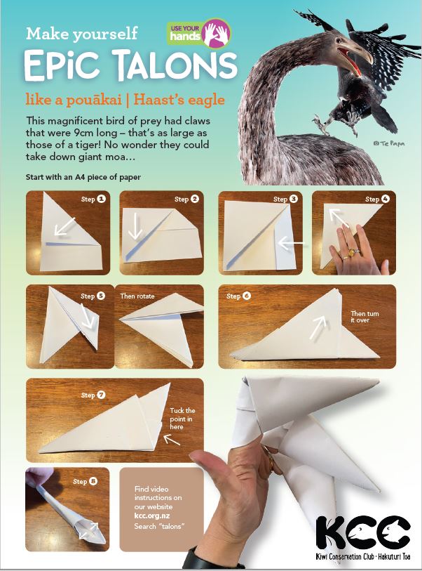 Make epic talons – Kiwi Conservation Club