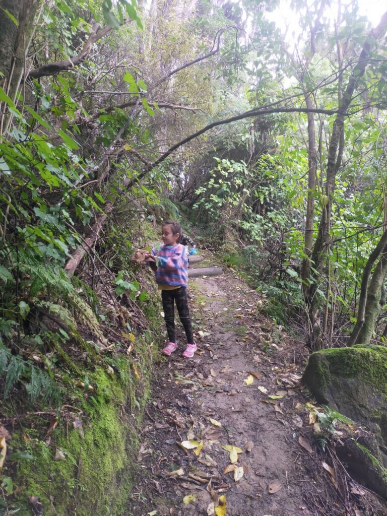 Polly Pekapeka visits Kaahu and Meremere – Kiwi Conservation Club