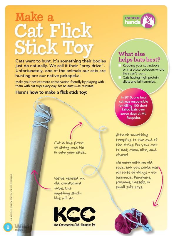 Make a cat flick stick toy – Kiwi Conservation Club