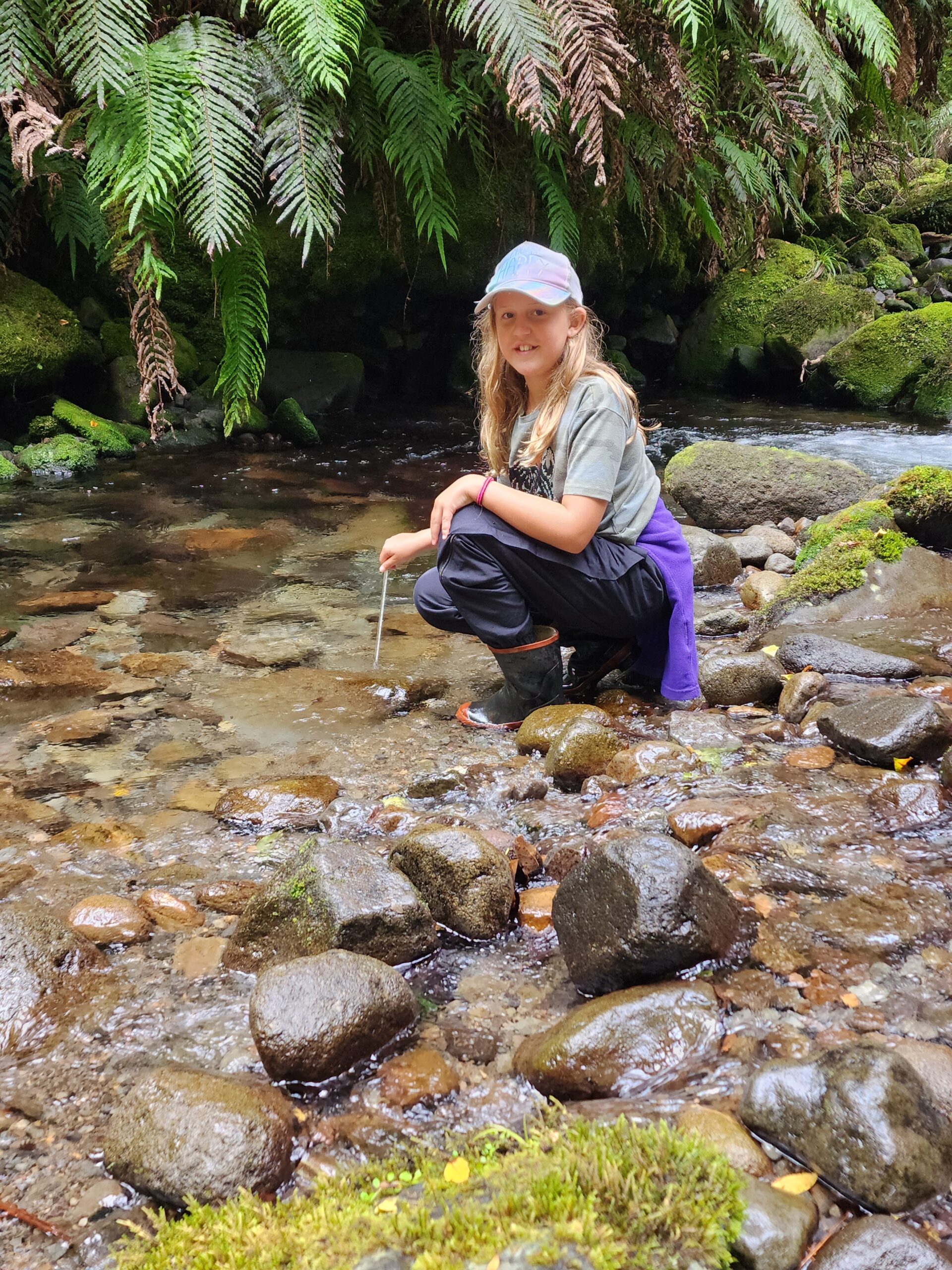 North Taranaki KCC Report – Healthy Rivers & Streams – Kiwi ...