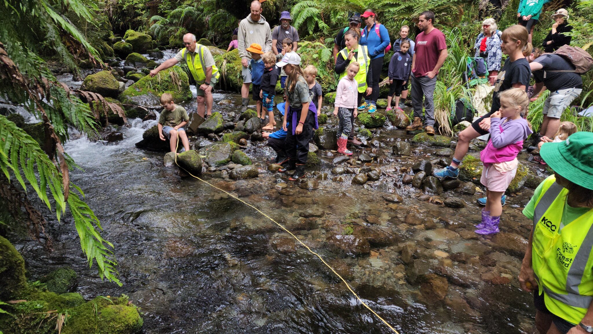 North Taranaki KCC Report – Healthy Rivers & Streams – Kiwi ...
