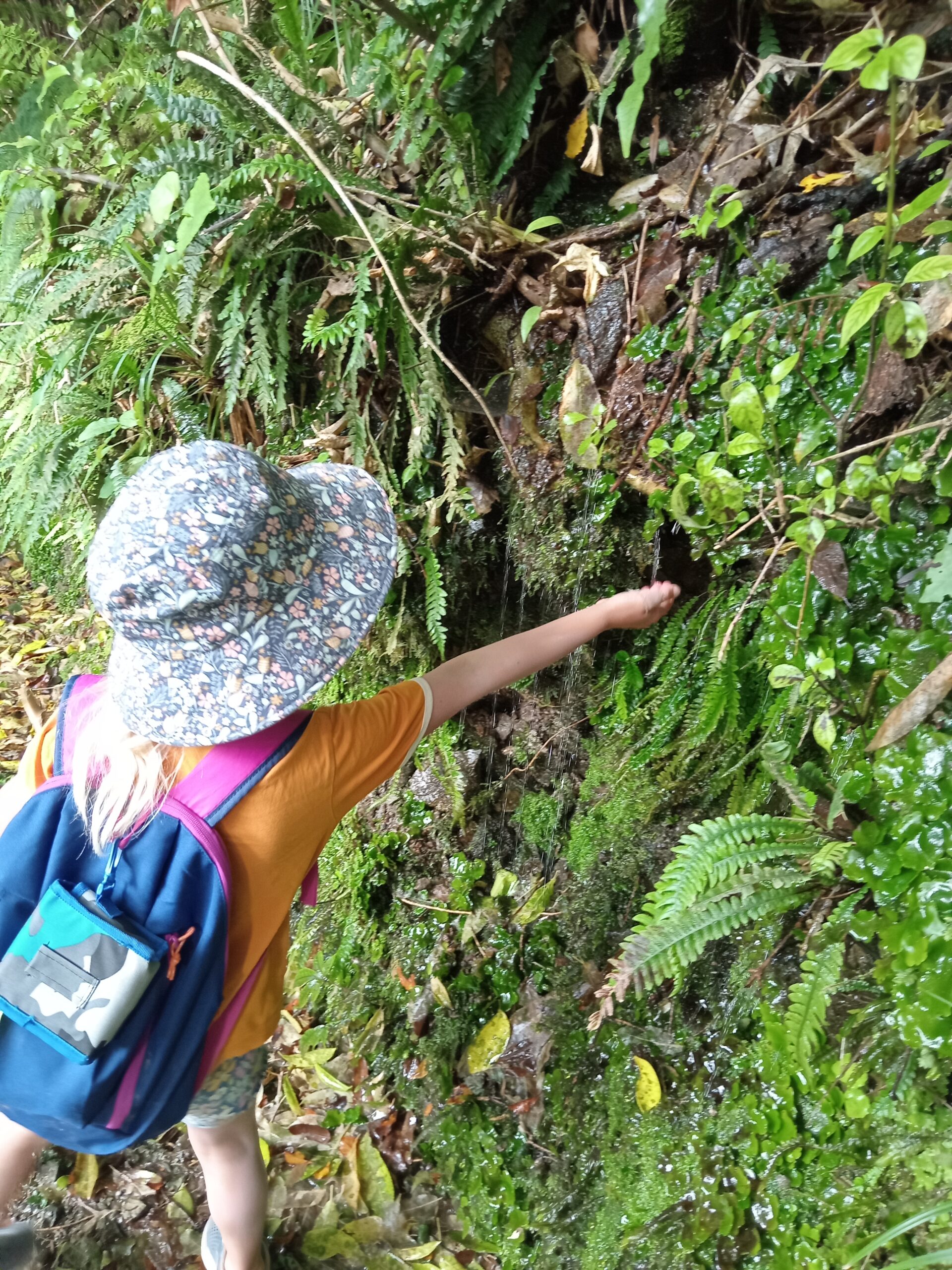 Juliette’s overnight tramp adventure – Kiwi Conservation Club