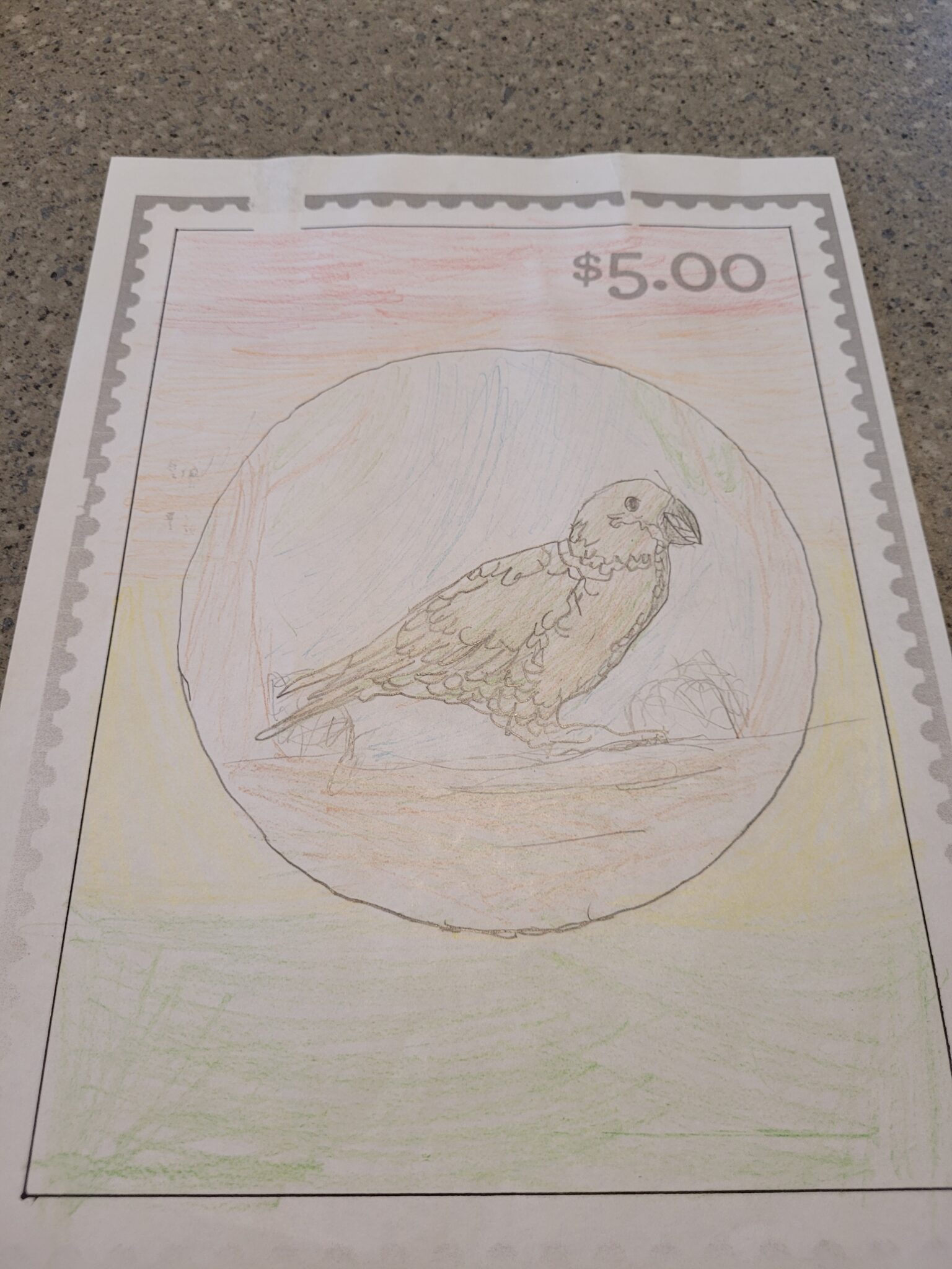 Design a sensational nature stamp! – Kiwi Conservation Club