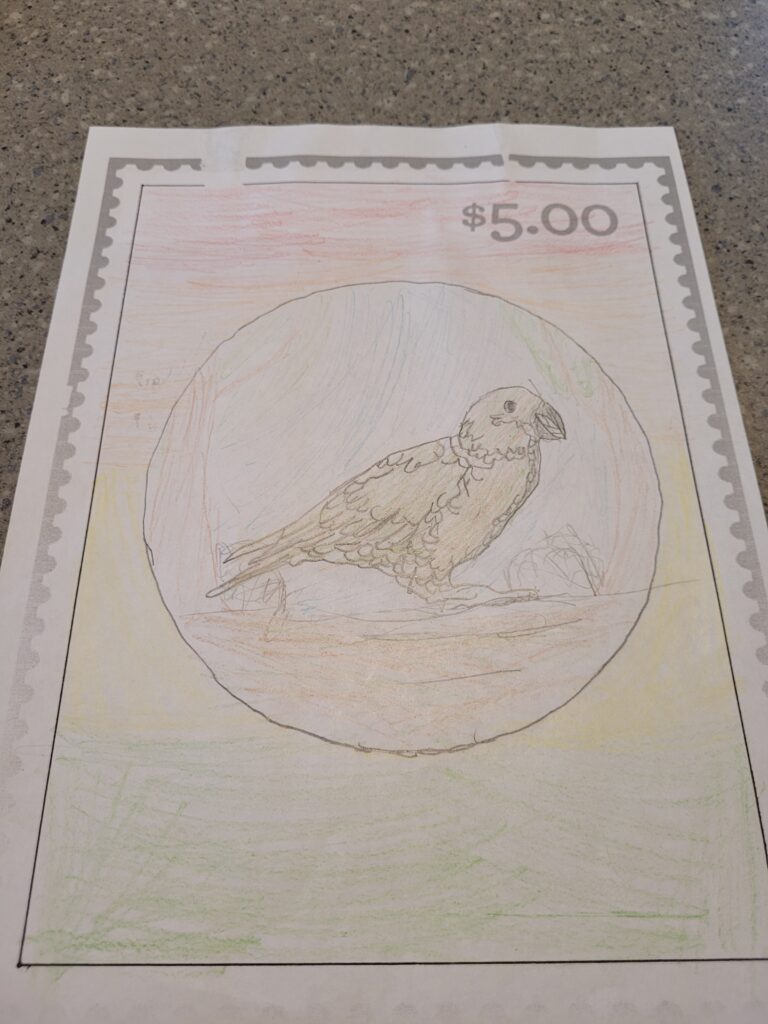 Design a sensational nature stamp! – Kiwi Conservation Club
