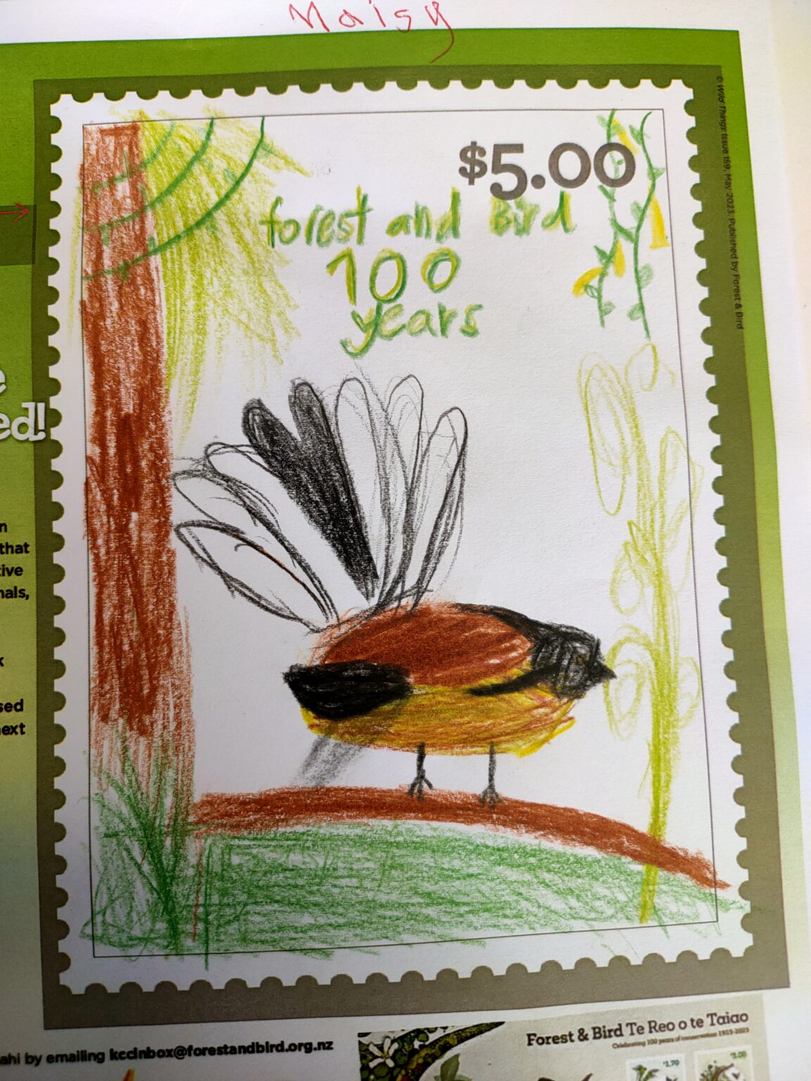 Design a sensational nature stamp! – Kiwi Conservation Club