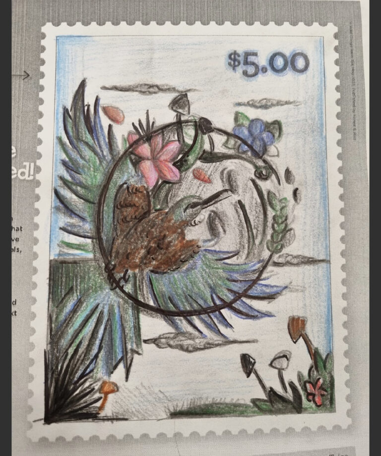 Design a sensational nature stamp! – Kiwi Conservation Club