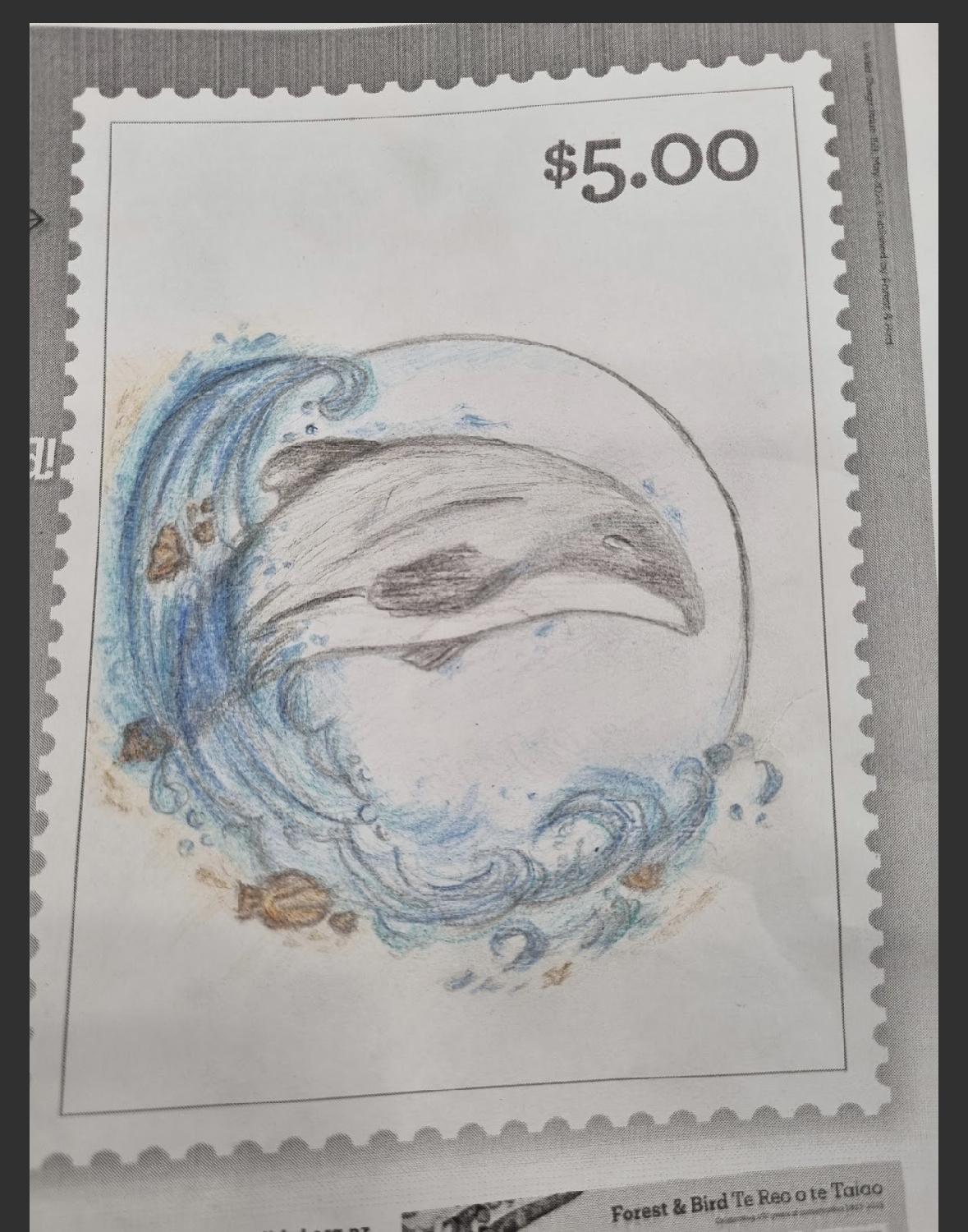 Design a sensational nature stamp! – Kiwi Conservation Club