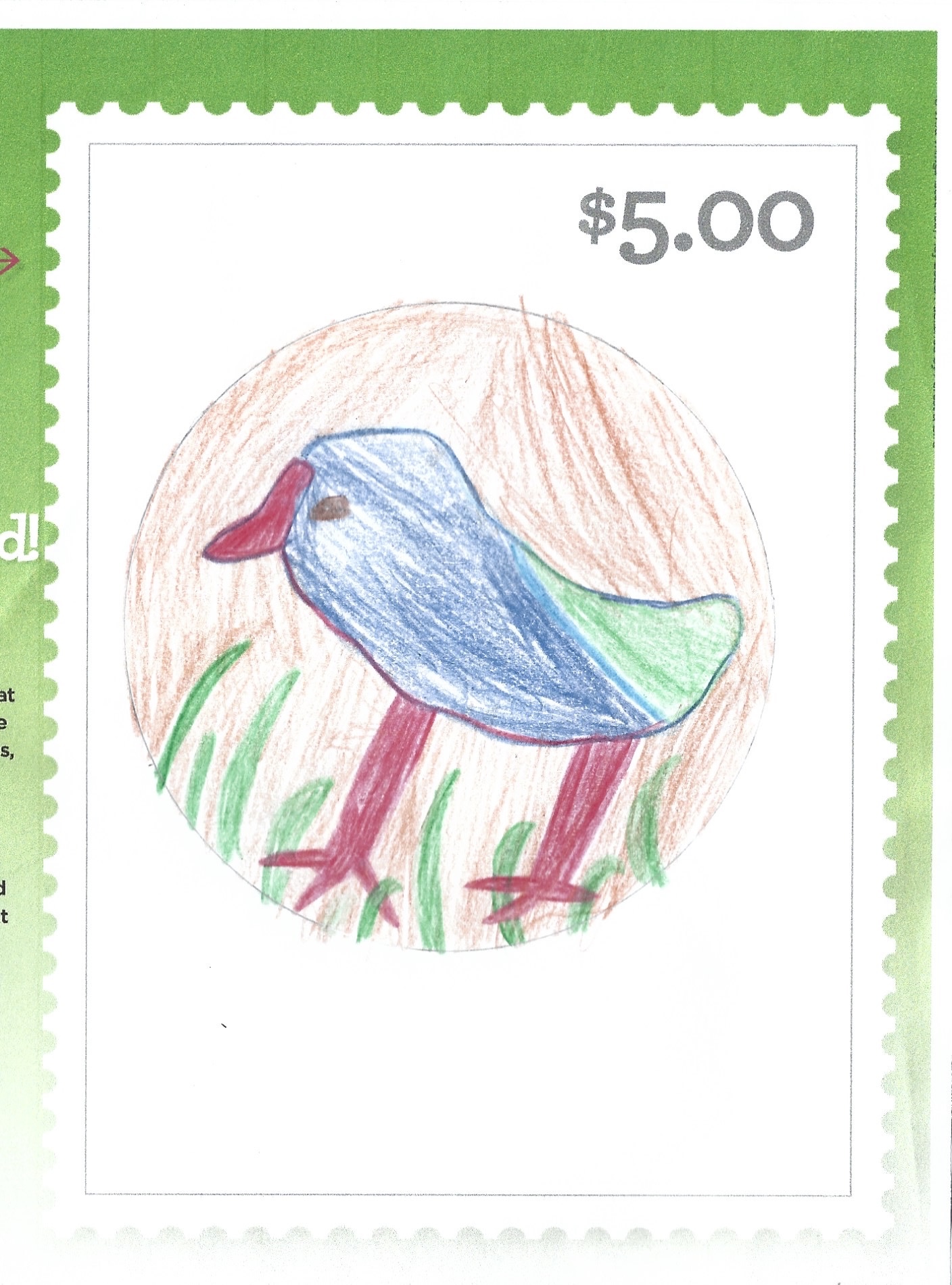 Design a sensational nature stamp! – Kiwi Conservation Club