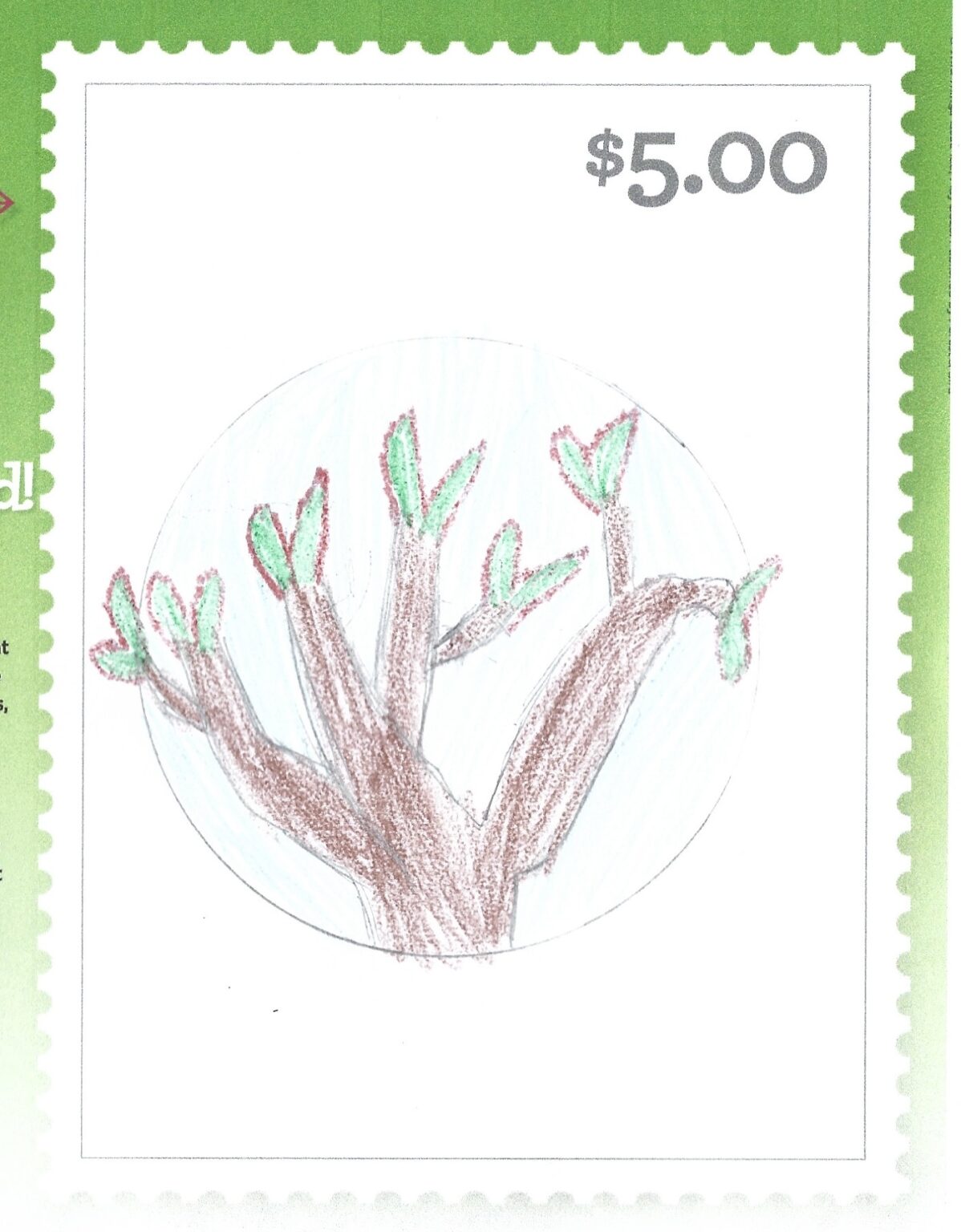Design a sensational nature stamp! – Kiwi Conservation Club
