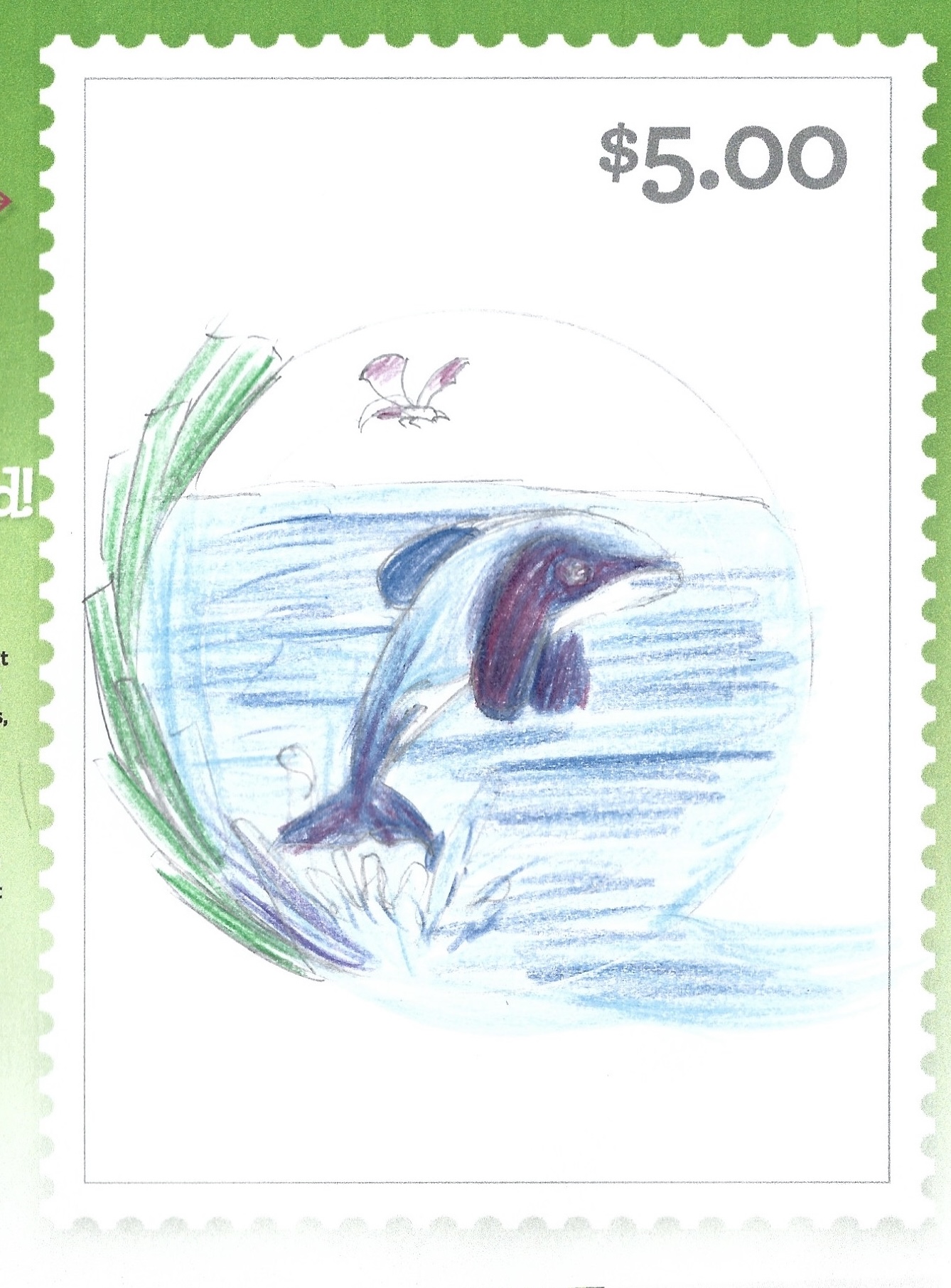 Design a sensational nature stamp! – Kiwi Conservation Club