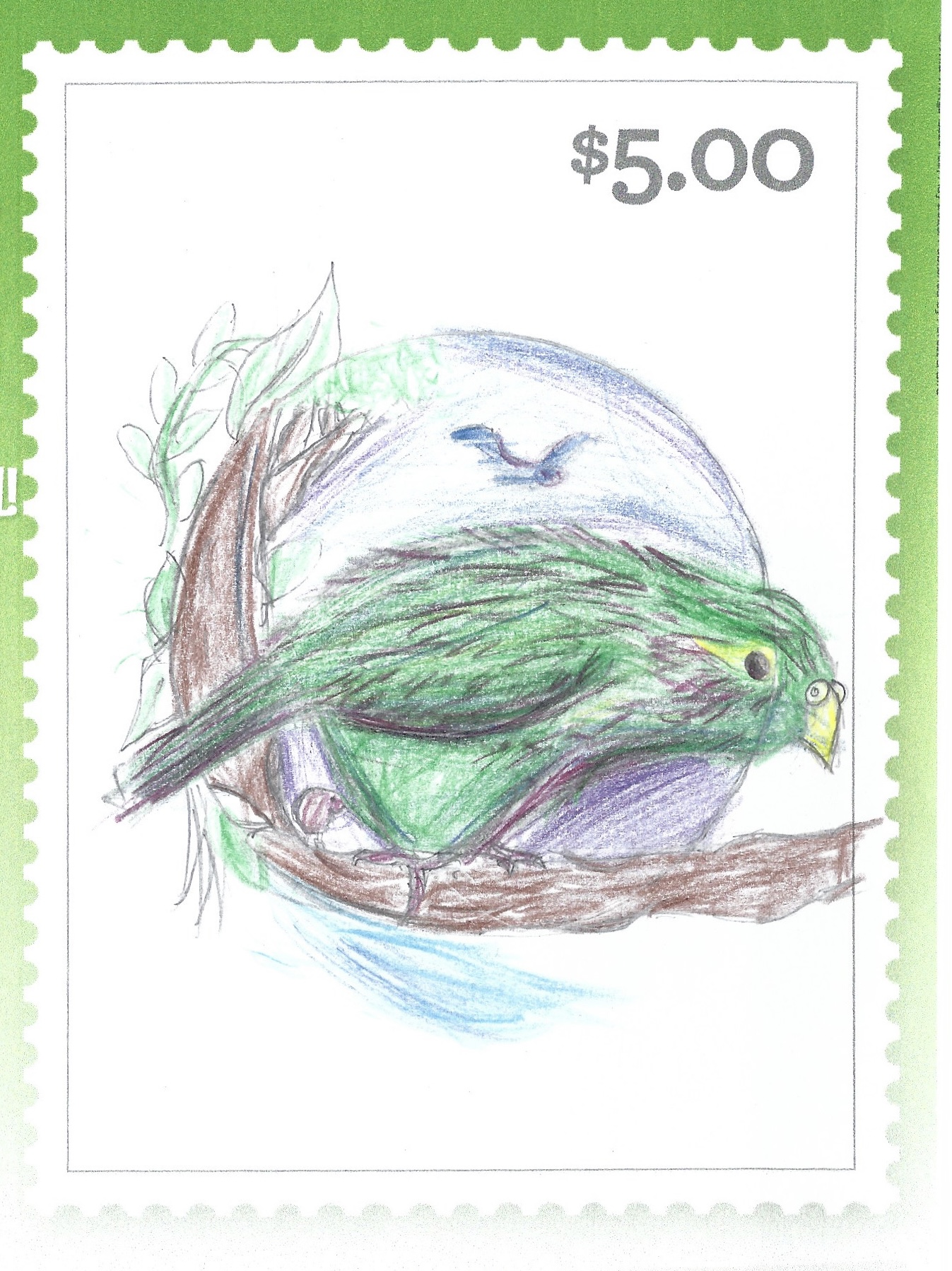 Design a sensational nature stamp! – Kiwi Conservation Club
