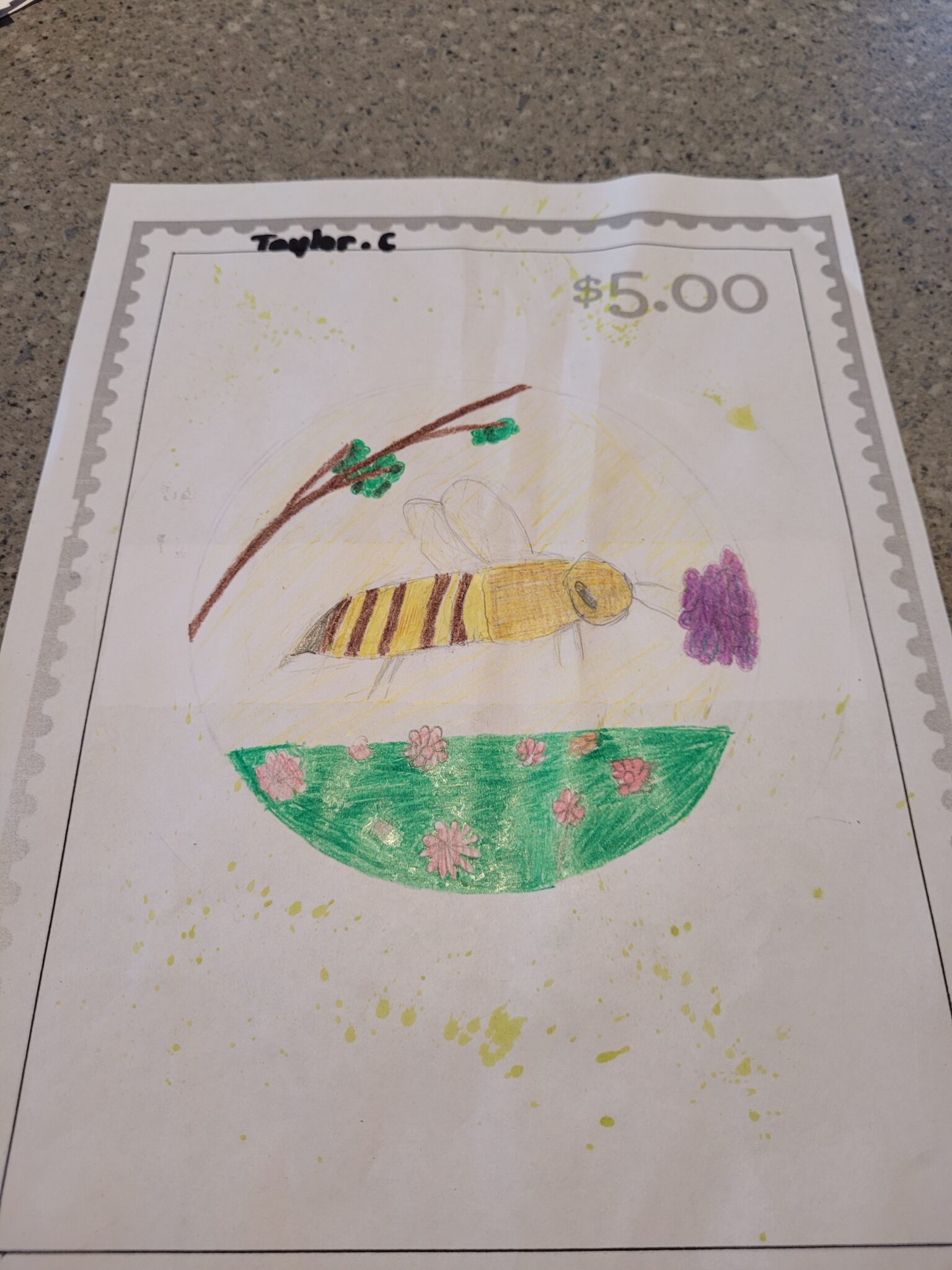 Design a sensational nature stamp! – Kiwi Conservation Club