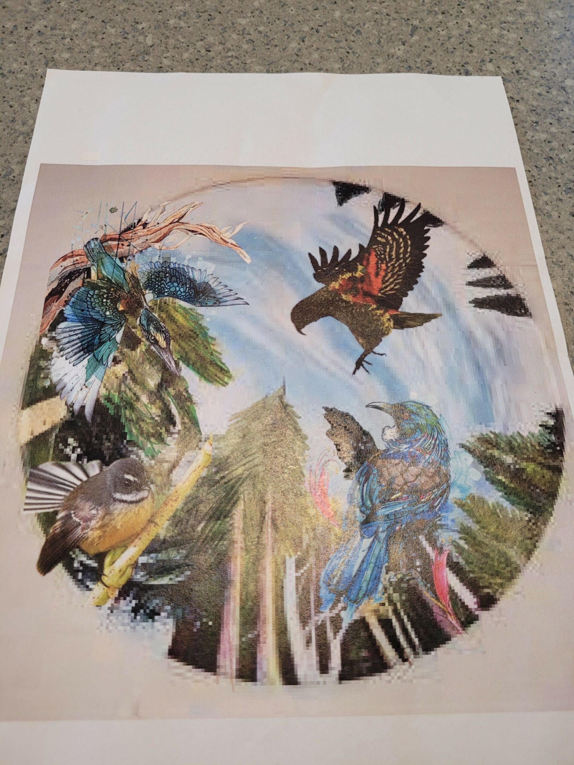 Design a sensational nature stamp! – Kiwi Conservation Club
