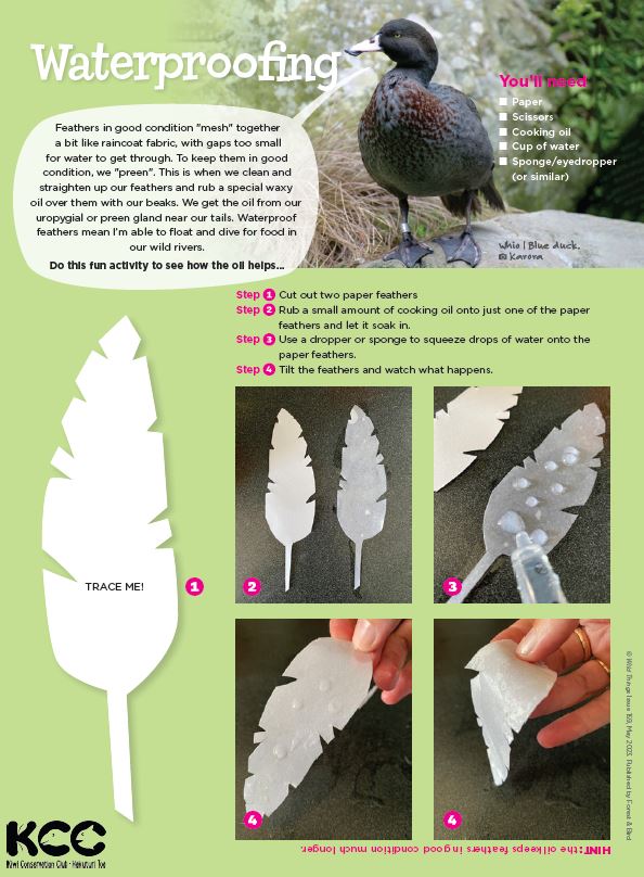 Waterproofing – Kiwi Conservation Club