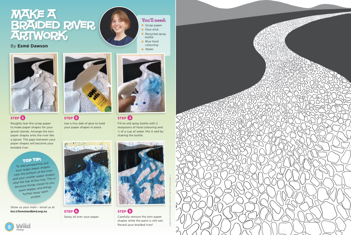 Make a braided river artwork – Kiwi Conservation Club