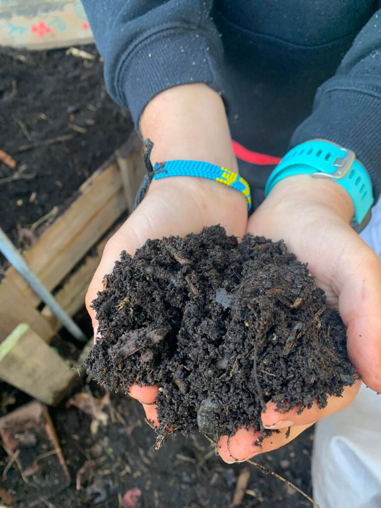Compost 101 – Kiwi Conservation Club