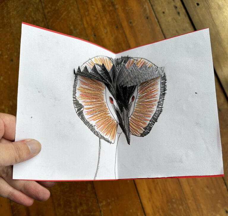 Kiwi Conservation Club