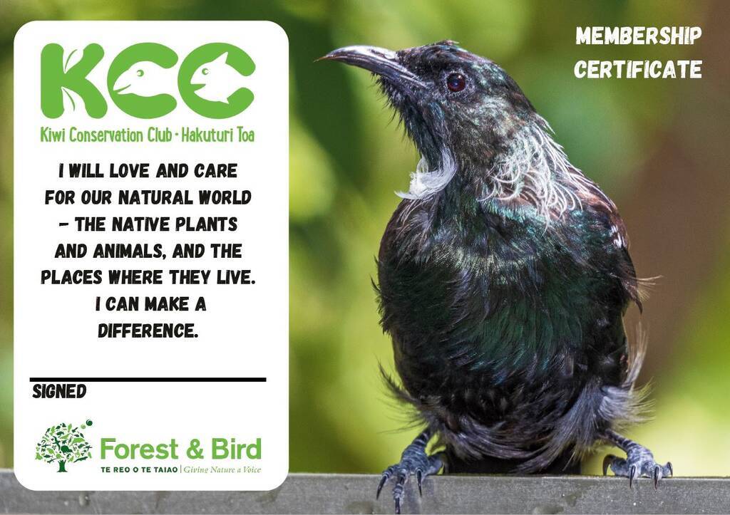 KCC Membership Certificate – Kiwi Conservation Club