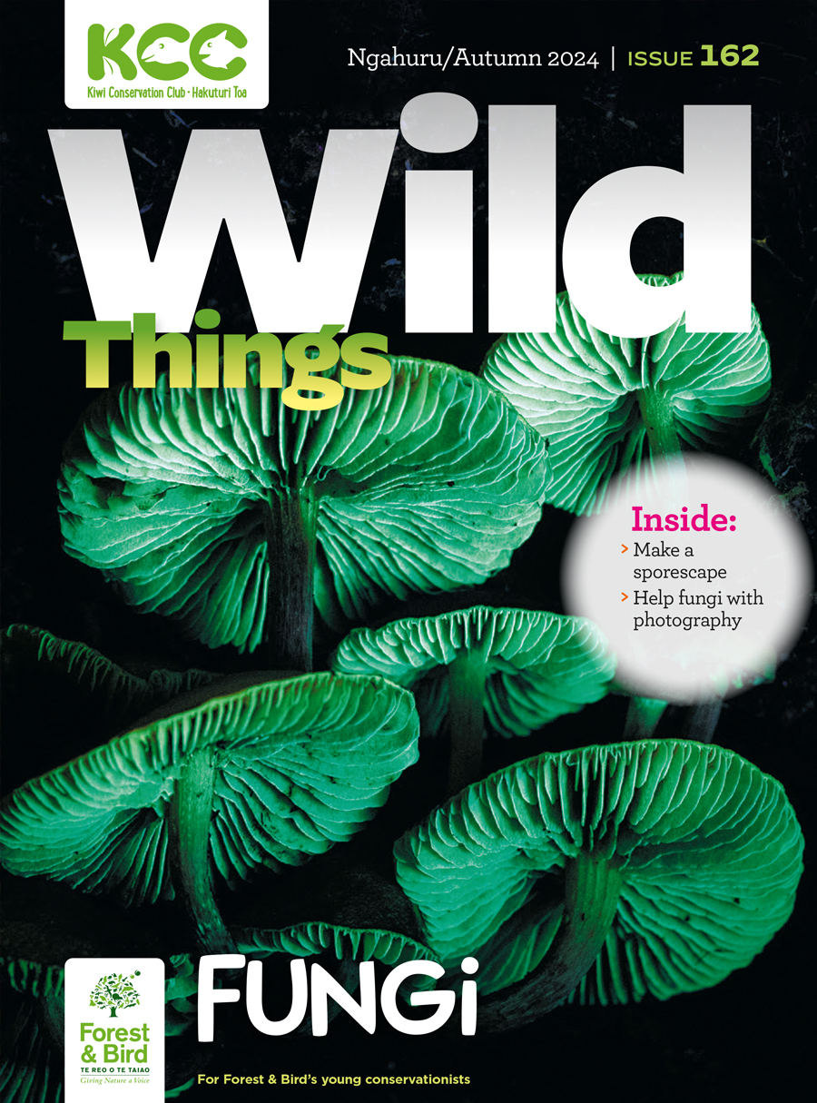 Fungi – Kiwi Conservation Club